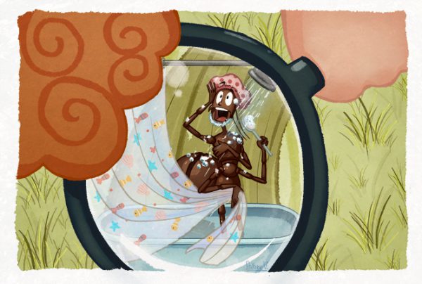 Como nós sabemos se a formiga é macho ou fêmea? – Universidade das Crianças